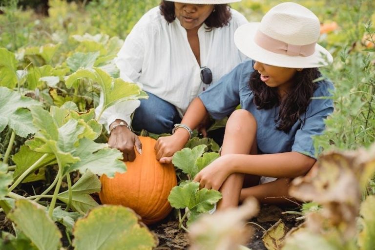 Vegetable Planting Guide Perth WA | Best Tips for Your Garden